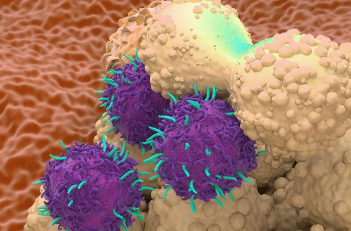 Creative Biolabs: A Pioneer in CAR-T Cell Frontier for Solid Tumor Research | One Nucleus